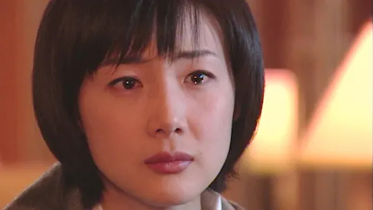 Winter Sonata | Watch Korean Series Online - KOCOWA+