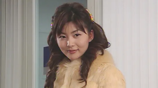 Winter Sonata | Watch Korean Series Online - KOCOWA+