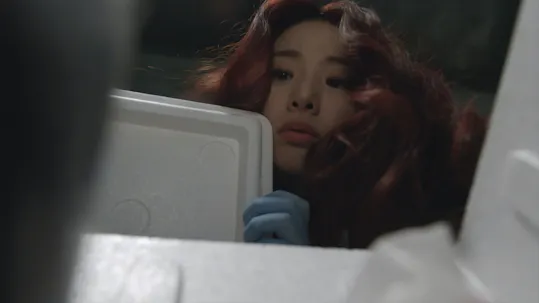Partners for Justice | Watch Korean Series Online - KOCOWA+