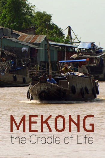 NFS: National Forensic Service | Watch Korean Series Online - KOCOWA+