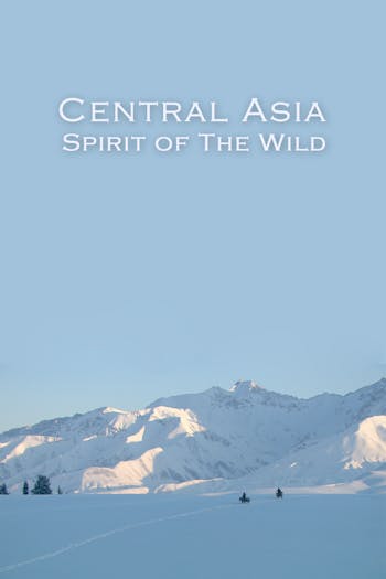 NFS: National Forensic Service | Watch Korean Series Online - KOCOWA+