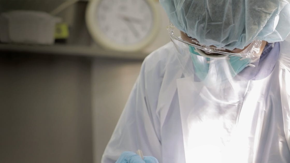 NFS: National Forensic Service 2 | Watch Korean Series Online - KOCOWA+